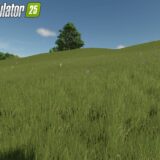 FS25 Stump Removal US v1.0.0.1 - FS 25 Other Mod Download