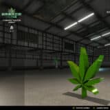 FS25 Cannabis DLC Pack v1.0 - FS 25 Packs Mod Download
