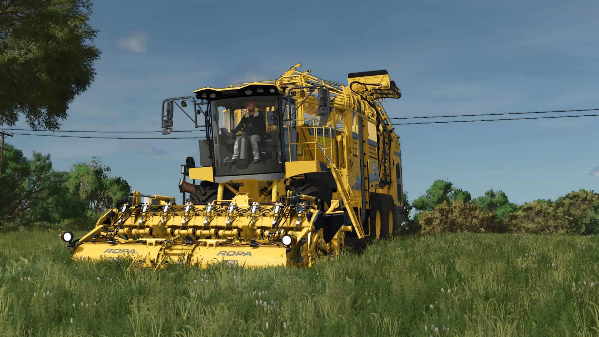 FS25 Ropa 6S (900 PS/1.000.000 l) Multifrüchte v1.2.0.0 - FS 25 ...