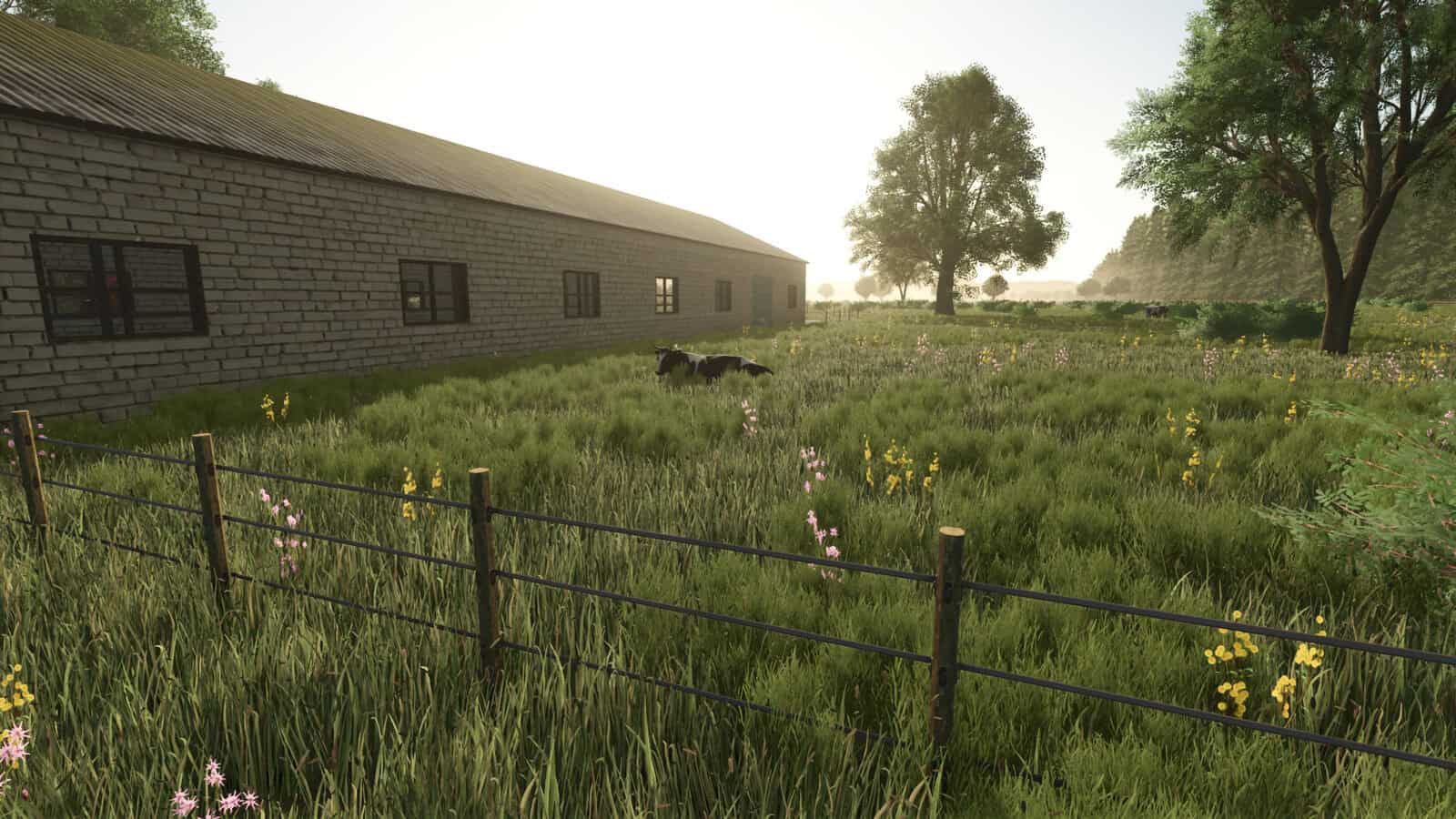 FS25 Tässi Farm Map v1.0 - FS 25 Maps Mod Download
