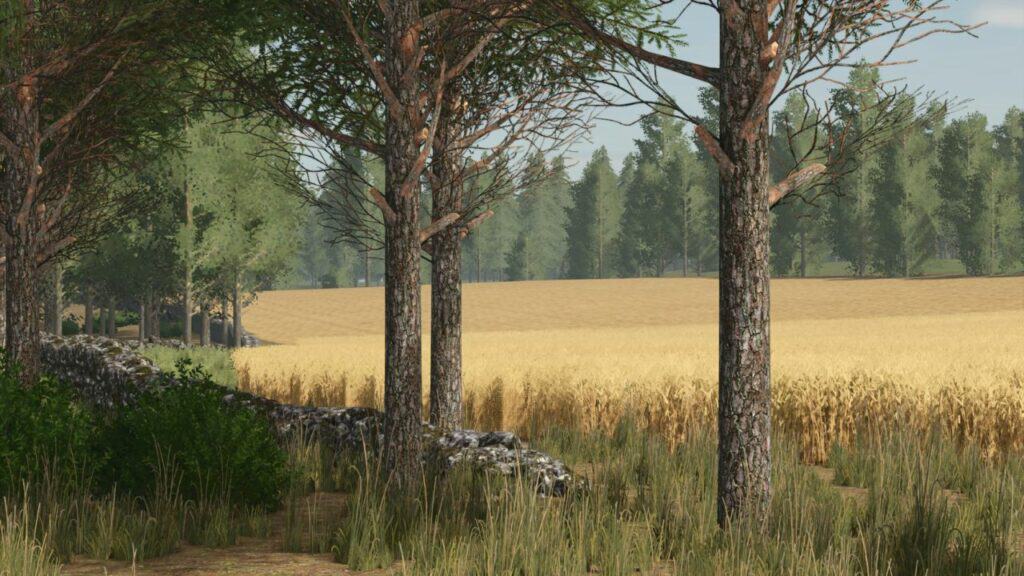 FS25 Pinewood Forest V1.5 - FS 25 Maps Mod Download