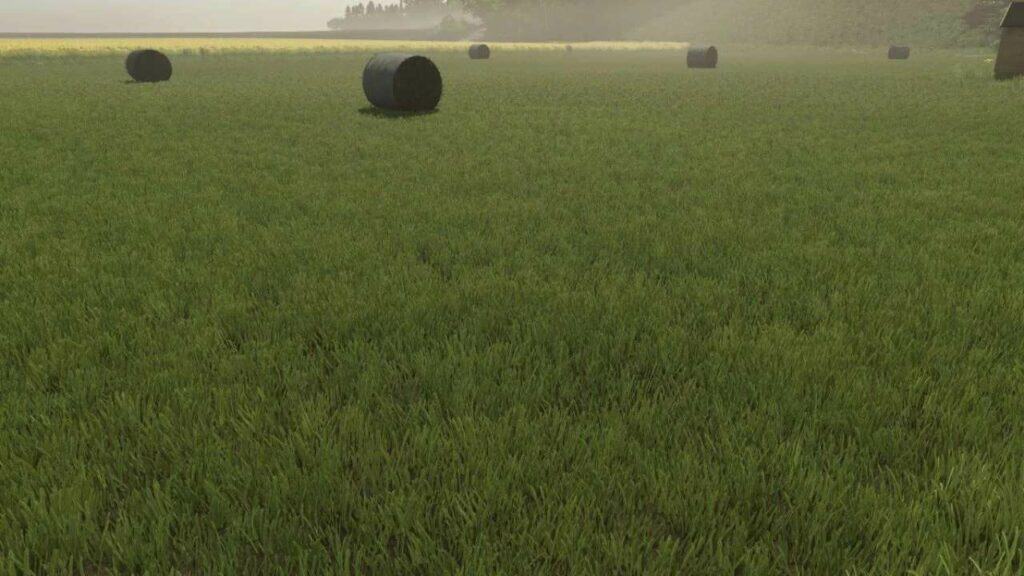 FS25 New Grass Texture v1 (3) - Farming simulator 19 / 17 / 15 Mod
