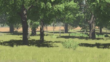 FS25 Pinewood Forest V2.0.0 (4) - Farming simulator 19 / 17 / 15 Mod