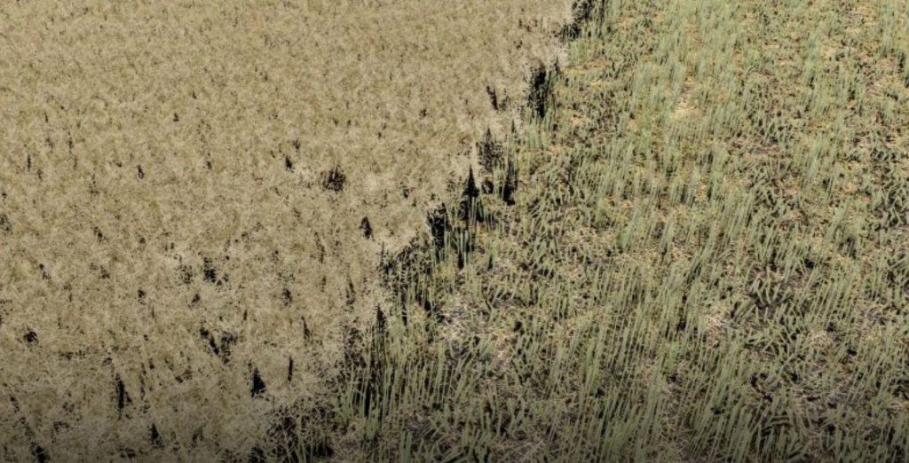 FS22 Canola Texture v1.0 - FS 22 Textures Mod Download