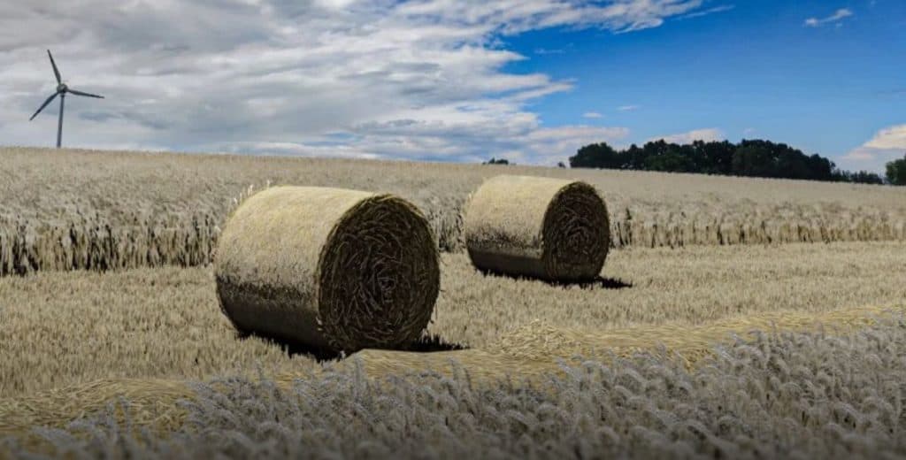 FS22 WHEAT - BALES - STRAW v1.0 - FS 22 Textures Mod Download