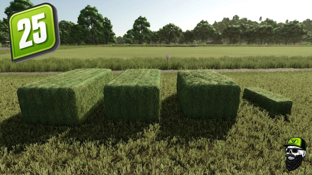 FS25 Grass/Hay Bale Textures V1.0 - FS 25 Textures Mod Download