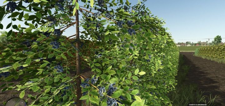 Farming Simulator 25 Maps Mods | FS25 Maps Mods | LS25 Maps Mod